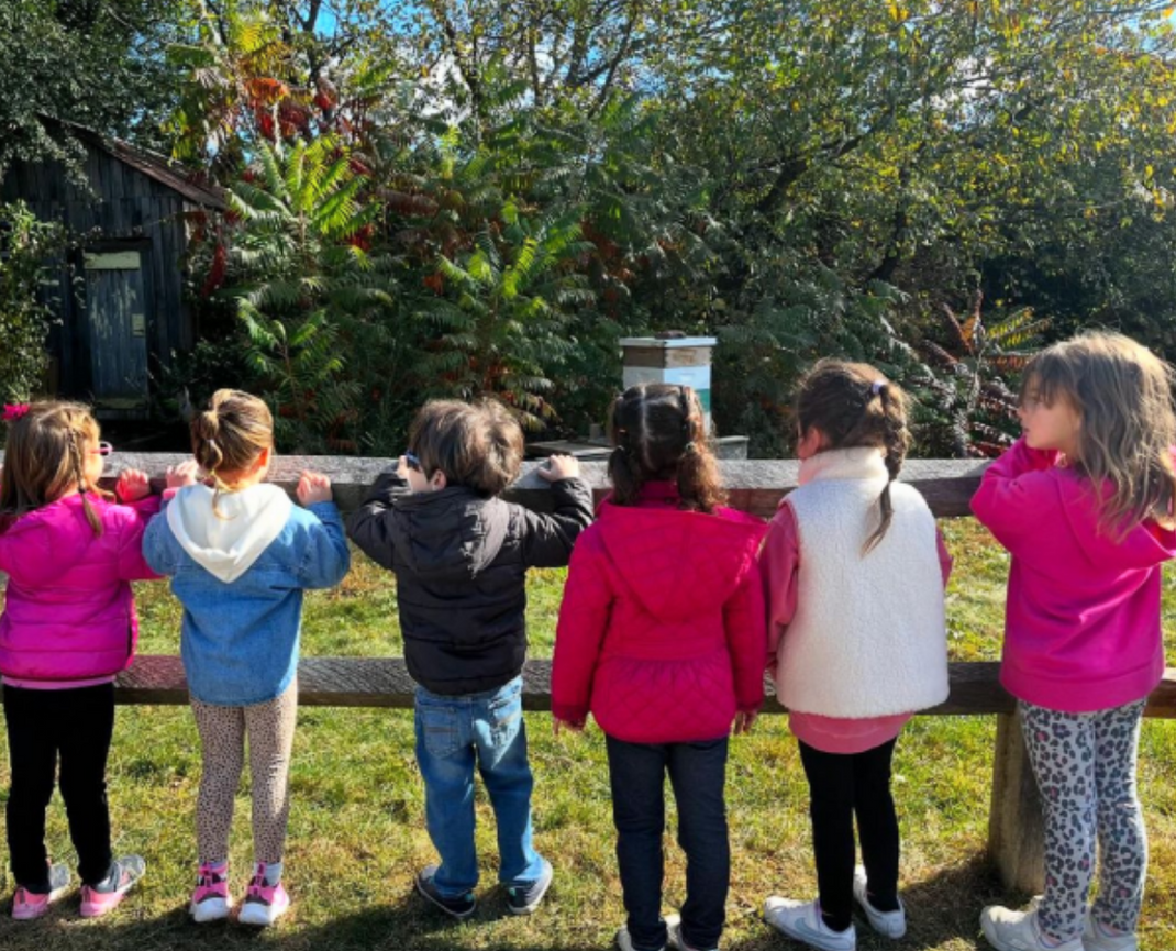 Classes Homepage – Kerbers Farm School